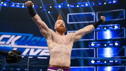 Sheamus: Age, Height, Weight, Wife, Net Worth, Family, Injury Details ...