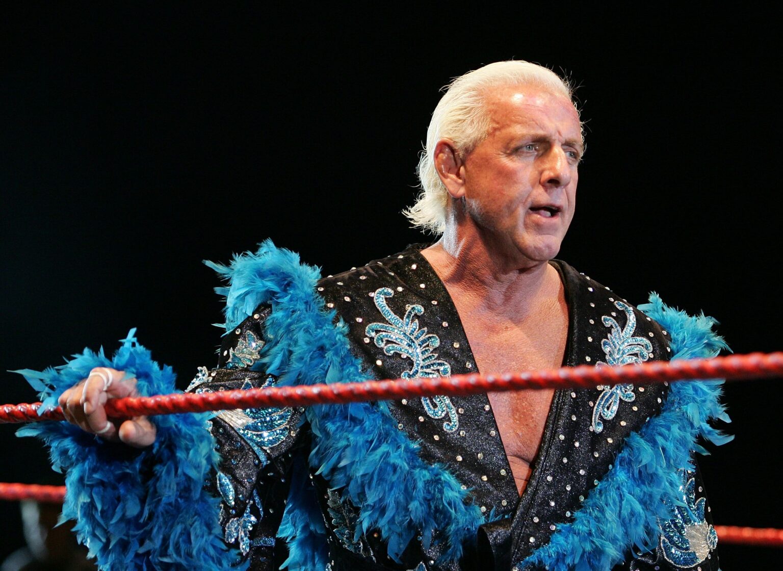 Ric Flair: Age, Height, Weight, Wife, Net Worth, Family, Injury Details ...