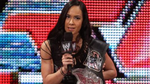 AJ Lee: Age, Height, Weight, Husband, Net Worth, Family, Injury Details ...
