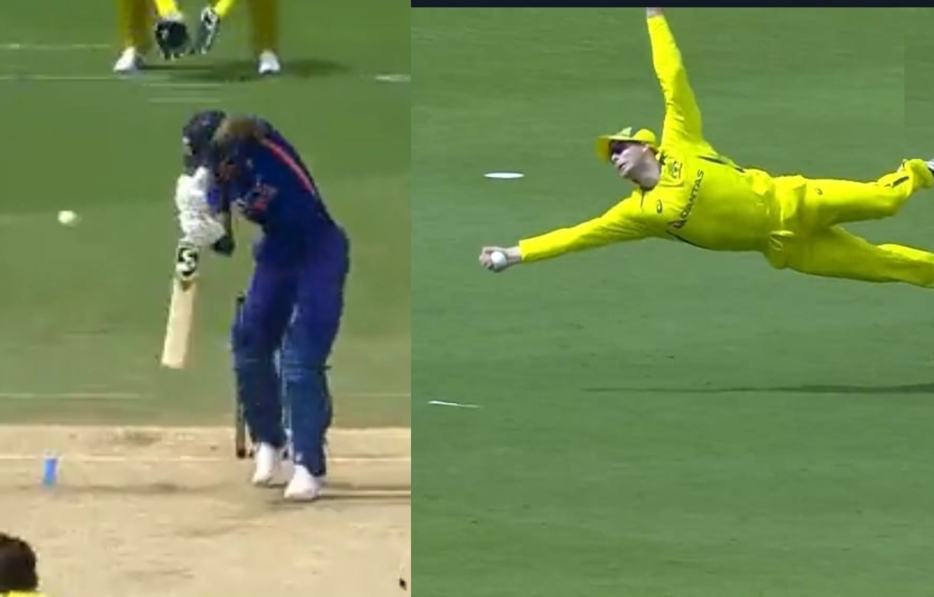 IND V AUS 2023: Watch- Steve Smith Dives Full-Length In Air To Gobble An Absolute Stunning Catch ...