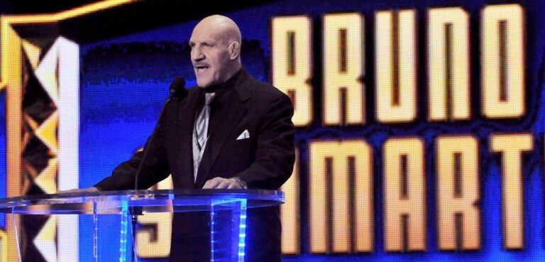 Bruno Sammartino: Age, Height, Weight, Wife, Net Worth, Family, Injury ...