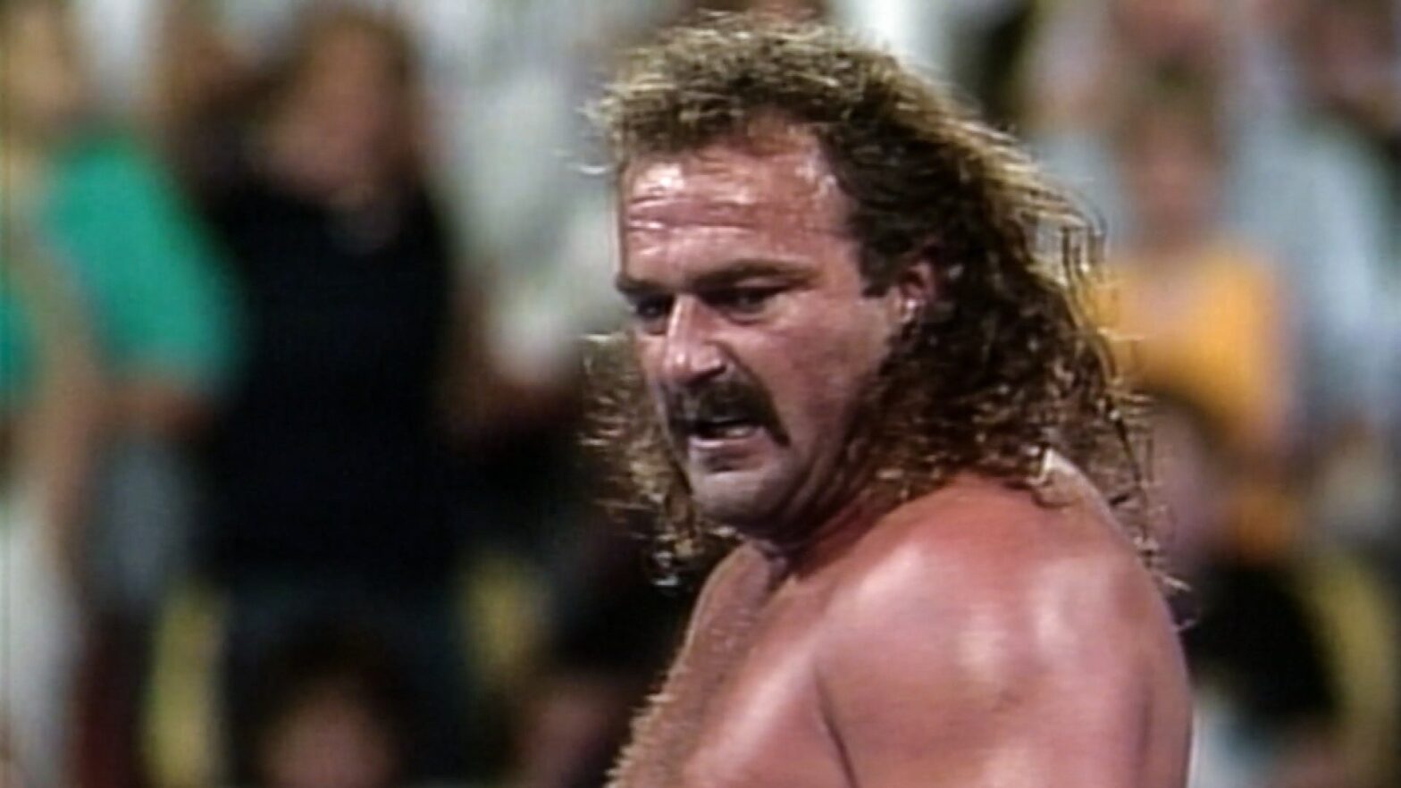 Jake Roberts: Age, Height, Weight, Wife, Net Worth, Family, Injury ...